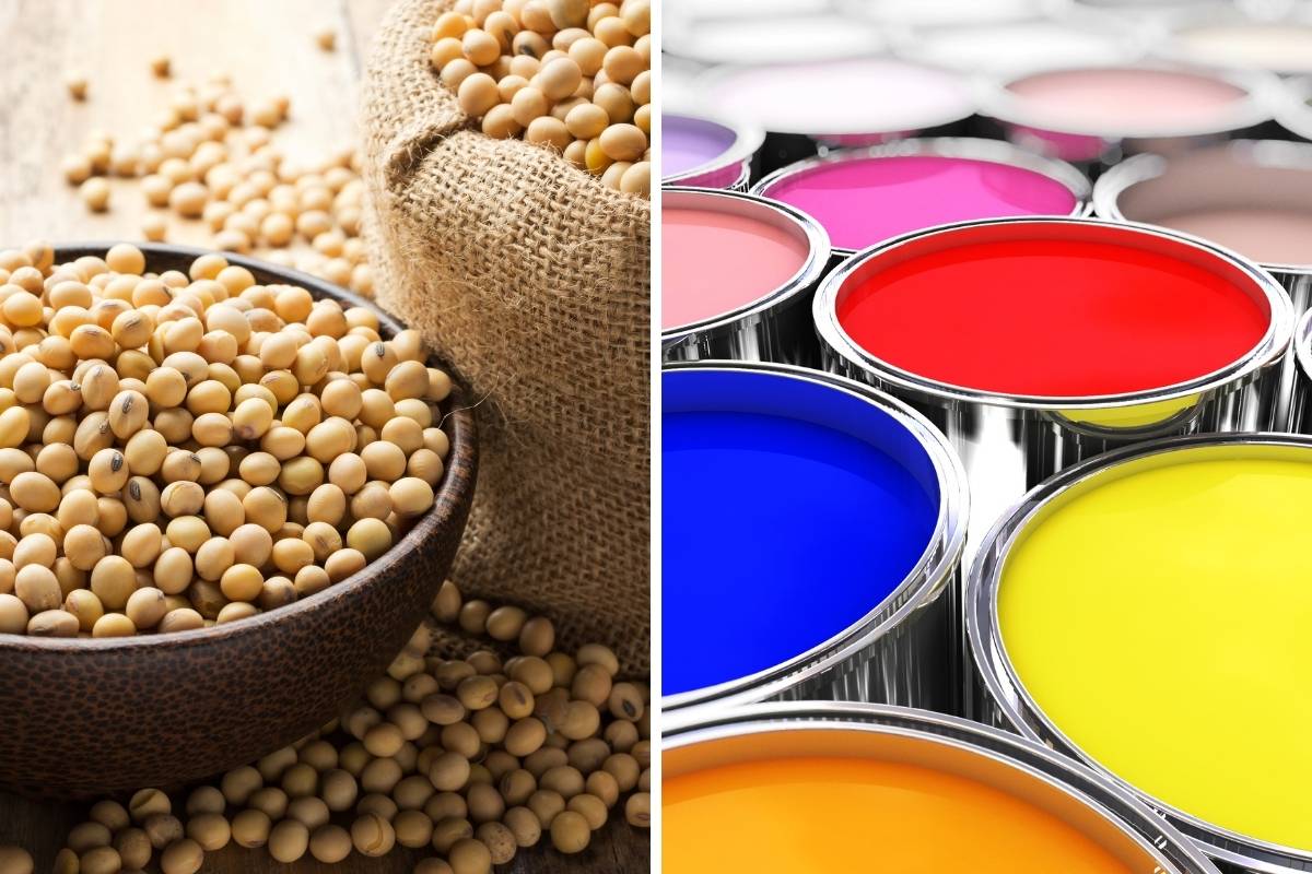 Why Soy Ink Is a Better Alternative to Traditional Ink - Green Denver